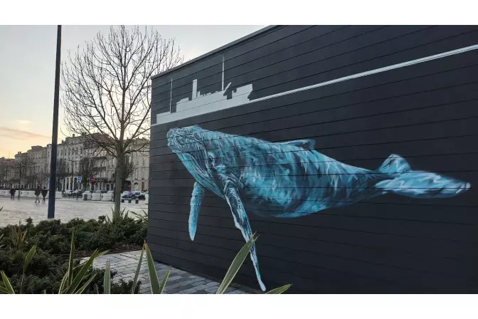 Street Art aux Chartrons - visite privée - My Urban Experience