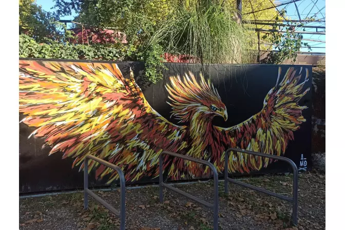 Visite privée : Quand le Street Art embellit Bacalan