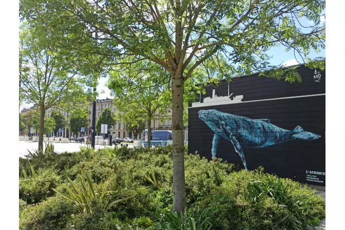 Street Art aux Chartrons - visite guidée à partir de 7,5€ - My Urban ...